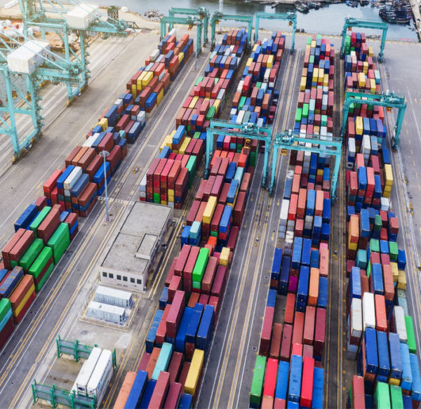 Services - Egy Export